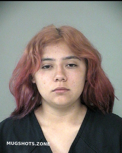 DEL RIO MAYORGA JEIMY 03/23/2024 - Fort Bend County Mugshots Zone