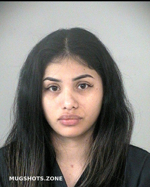 ALANIS MARIA OFELIA 04/09/2024 - Fort Bend County Mugshots Zone