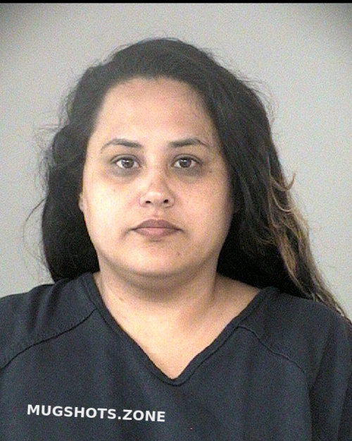 SCHATZ AMANDA LEIGH 06/15/2024 - Fort Bend County Mugshots Zone