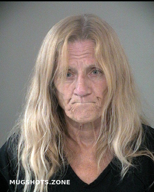 BRIDGES DEBORAH ANN 07/18/2024 - Fort Bend County Mugshots Zone