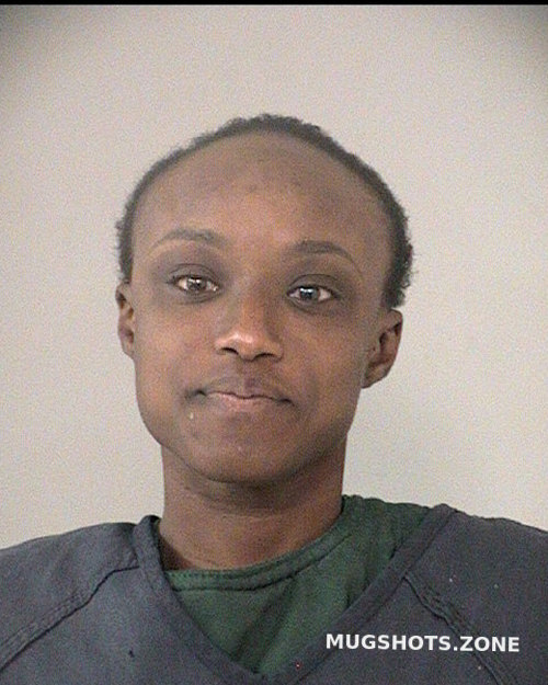 SINGLETON MEAGHAN 07/31/2024 - Fort Bend County Mugshots Zone