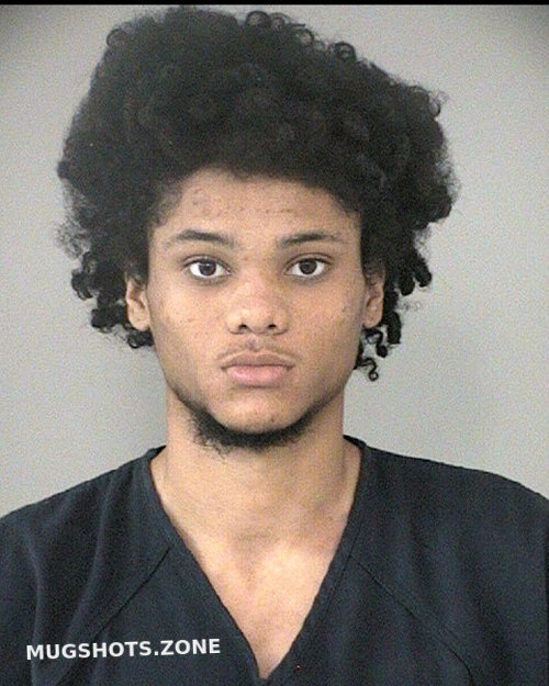 RICE BRANDON 08/01/2024 - Fort Bend County Mugshots Zone