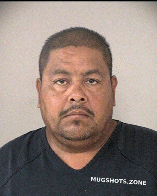 HERNANDEZ NELSON 08/11/2024 - Fort Bend County Mugshots Zone