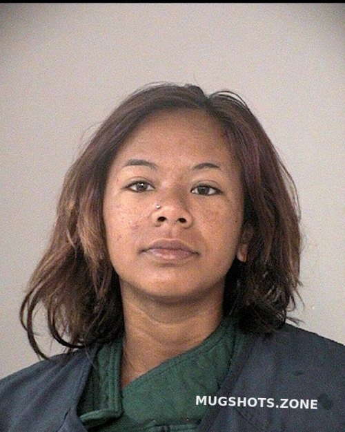 NHEM TONI THAI 08/15/2024 - Fort Bend County Mugshots Zone