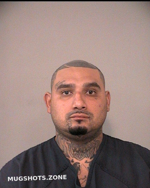 MACHUCA EDWIN 11/18/2024 - Fort Bend County Mugshots Zone