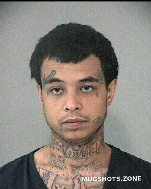 GONZALEZ JONATHON MARIO 11/24/2024 - Fort Bend County Mugshots Zone