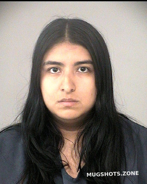 BRYAN GOLDIE ELOISE 11/28/2024 - Fort Bend County Mugshots Zone