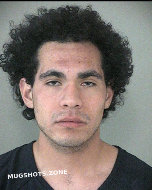PORTILLO HECTOR DANIEL 02/16/2025 - Fort Bend County Mugshots Zone