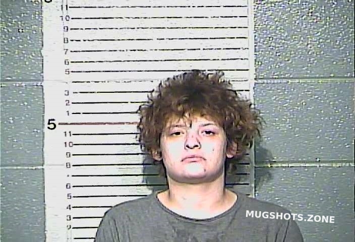 BIXLER ALICE RYSHELLE 06/02/2022 - Franklin County Mugshots Zone