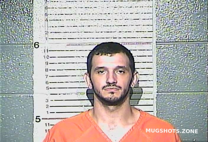 MORRIS BRANDON TYLER 08/03/2022 - Franklin County Mugshots Zone