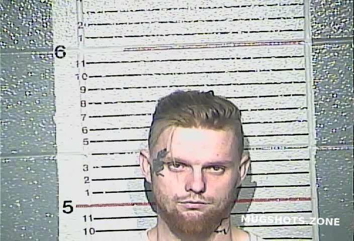 HARRIS GAVIN AXEL LEE 07/23/2024 - Franklin County Mugshots Zone