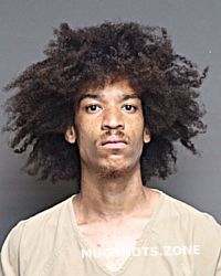 TOLES CHRISTIAN MICHAEL II 08/13/2024 - Franklin County Mugshots Zone