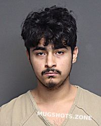 CASTILLO EDGAR 11/12/2024 - Franklin County Mugshots Zone