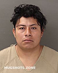 RAMIREZ WILLIAMS HUBERTO 01/19/2025 - Franklin County Mugshots Zone