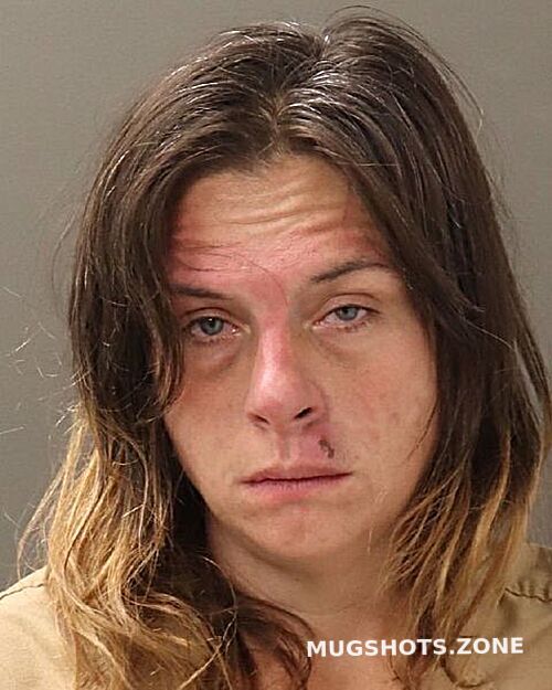 DINGESS ROSE ANN NICOLE 10/29/2025 - Franklin County Mugshots Zone