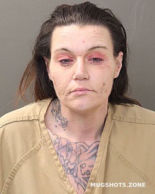 DIBACCO SARA FAY 02/03/2026 - Franklin County Mugshots Zone