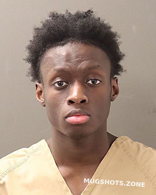 NDIAYE MOHAMMED B 02/26/2026 - Franklin County Mugshots Zone