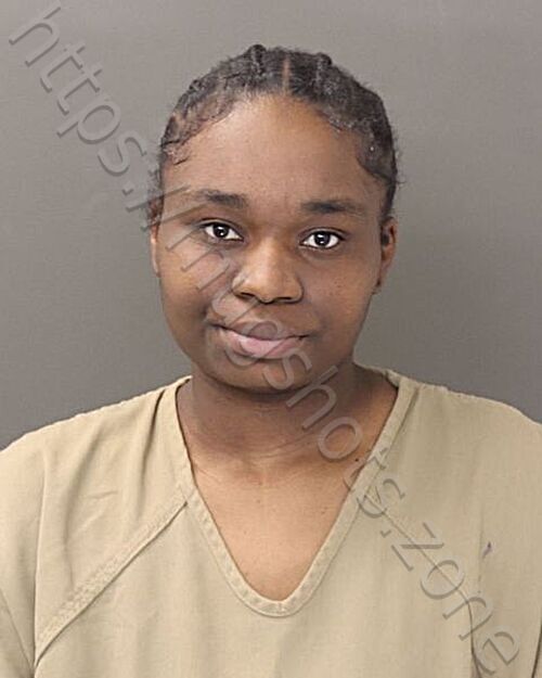 ADAMS MARQUASHA CHONTELL 03/17/2026 - Franklin County Mugshots Zone