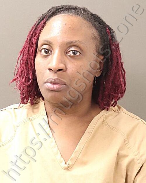 BOZEMAN RONESHA SHANEE 03/27/2026 - Franklin County Mugshots Zone