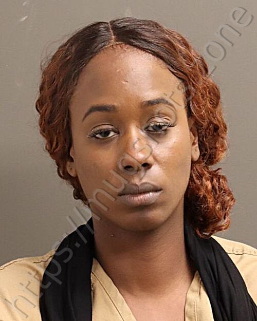 DIALLO FATIMATA 03/28/2026 - Franklin County Mugshots Zone
