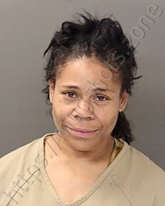 HOLMES MICHELLE L 06/09/2026 - Franklin County Mugshots Zone