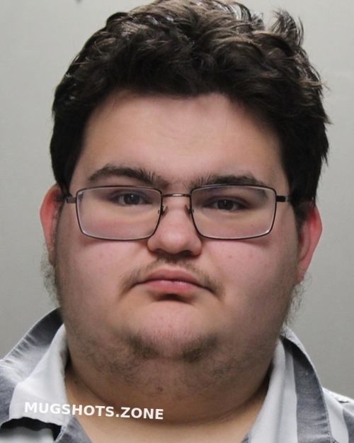 GALVAN CHRISTOPHER JORDAN 11/20/2023 - Freestone County Mugshots Zone