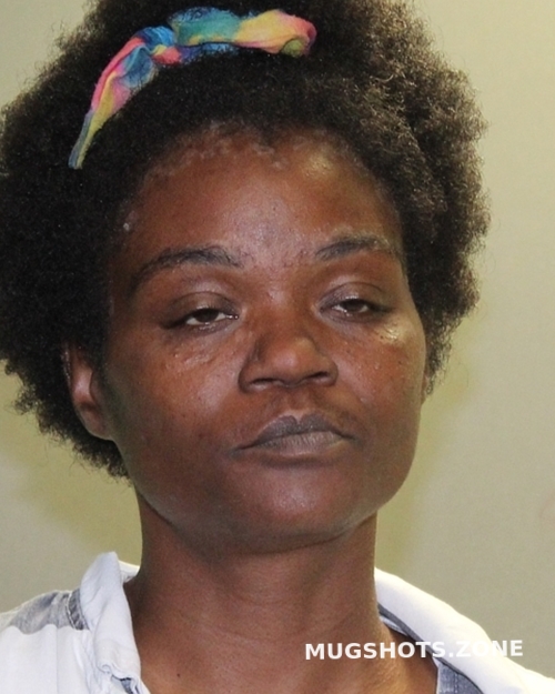 JACKSON LISA 04/13/2024 - Freestone County Mugshots Zone