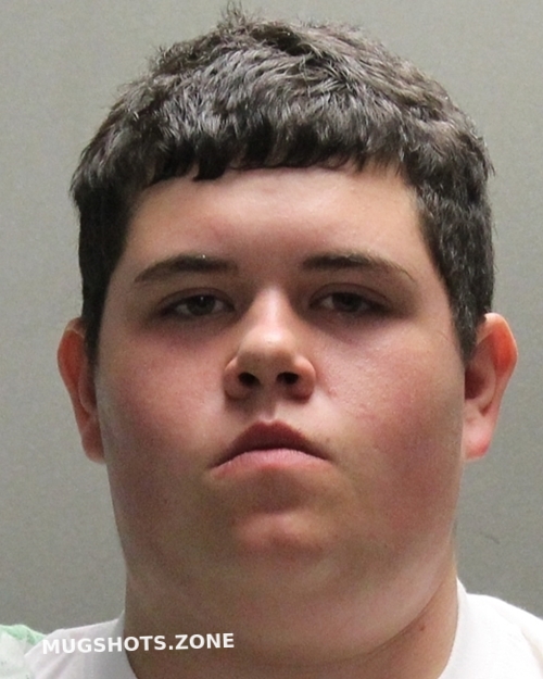 MCKEE BRAYDEN DAVIS 05/10/2024 - Freestone County Mugshots Zone
