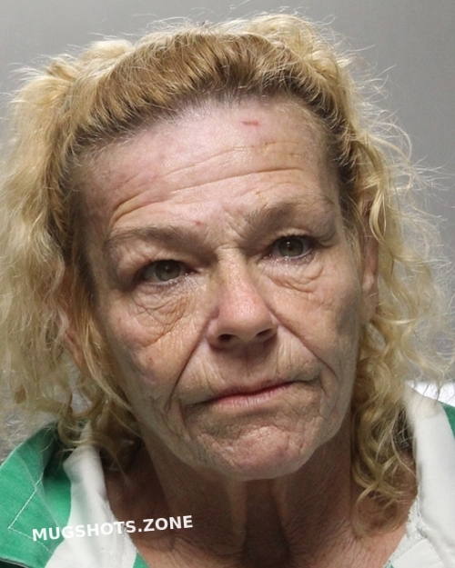 WILSON TERESA SUZANNE 07/01/2024 - Freestone County Mugshots Zone