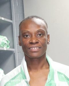 CARROLL LYNN MARIE 11/18/2024 - Freestone County Mugshots Zone