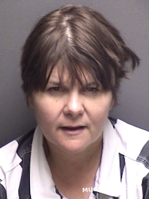 SCRUGGS CYNTHIA ANNE 02/07/2025 - Freestone County Mugshots Zone