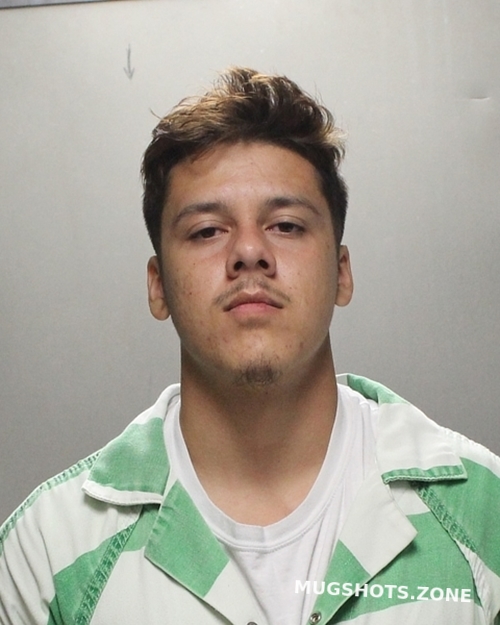 MELTON CHRISTIAN DUPREE 04/29/2025 - Freestone County Mugshots Zone
