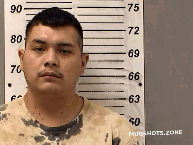 ZARAGOSA DANNY RAY 07/02/2025 - Fulton County Mugshots Zone