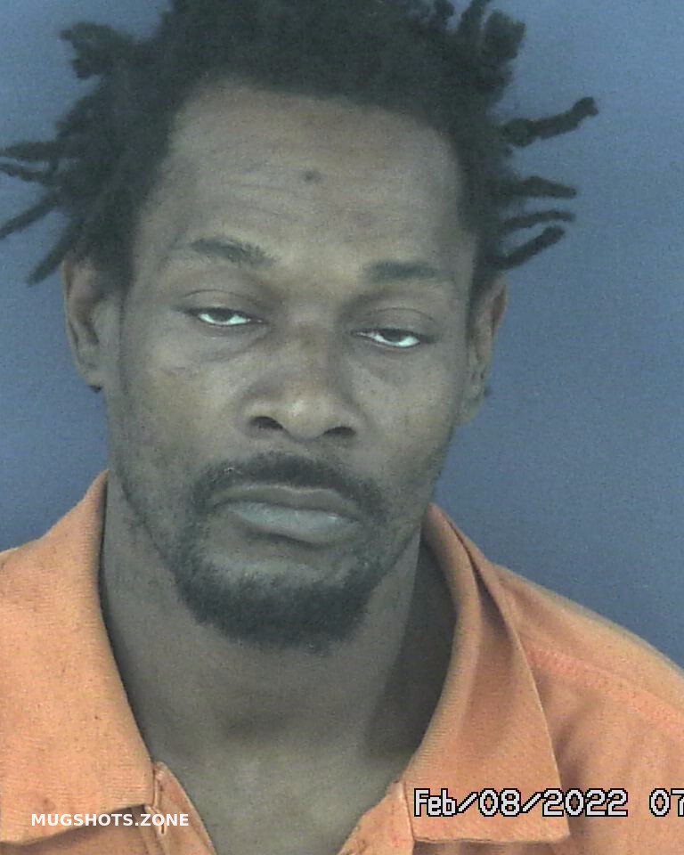 ALLEN JAMICHAEL TERELLE 02/08/2022 - Gadsden County Mugshots Zone