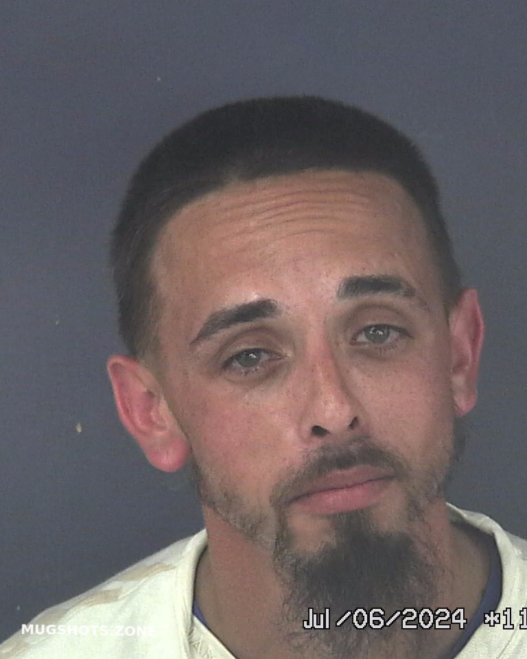 WERNER TYLER EUGENE 07/06/2024 - Gadsden County Mugshots Zone