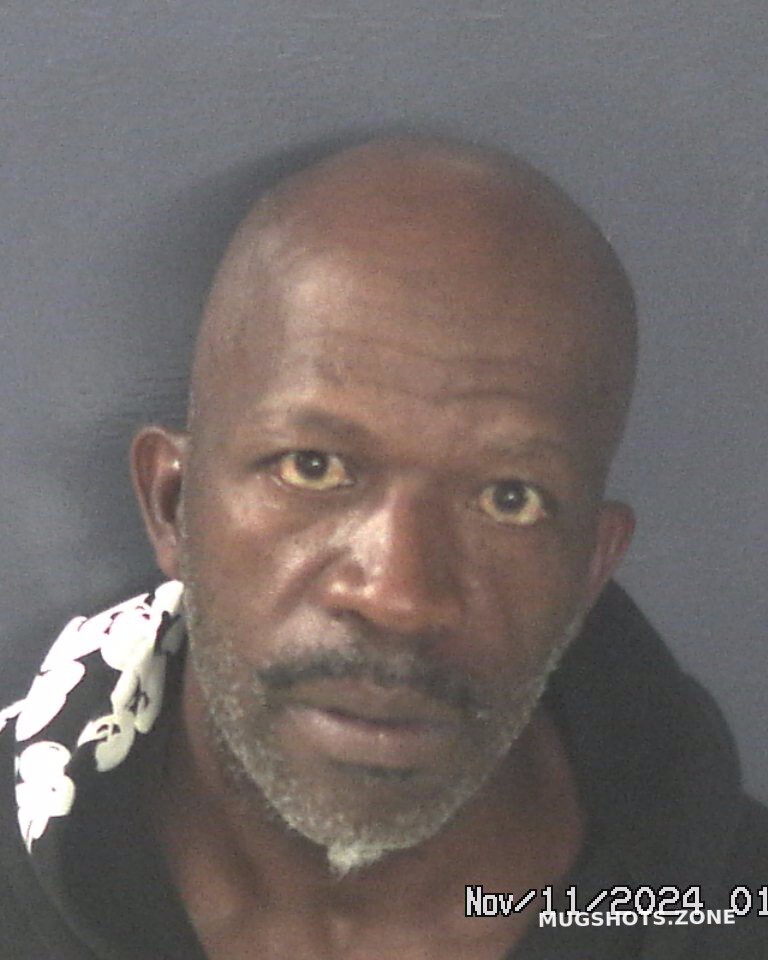 ADDISON MICHAEL ANDREA 11/10/2024 - Gadsden County Mugshots Zone