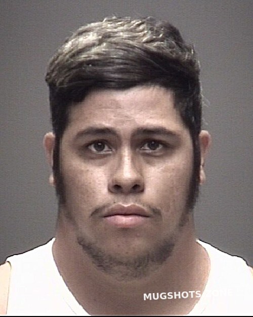 GALVAN IVAN . 04/02/2021 - Galveston County Mugshots Zone