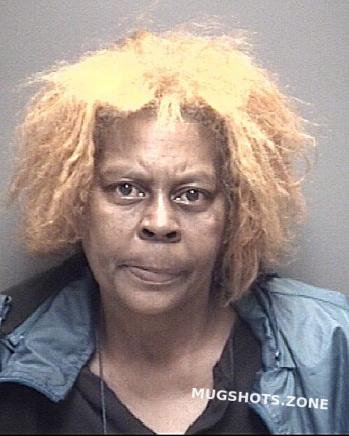 NAILER LISA DIANE 04/26/2021 - Galveston County Mugshots Zone