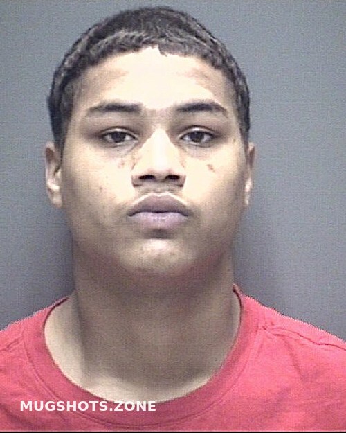 RICE LEV 06/17/2021 - Galveston County Mugshots Zone