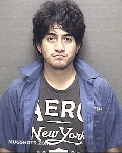 HENRIQUEZ RONALD ALEXANDER 07/10/2021 - Galveston County Mugshots Zone