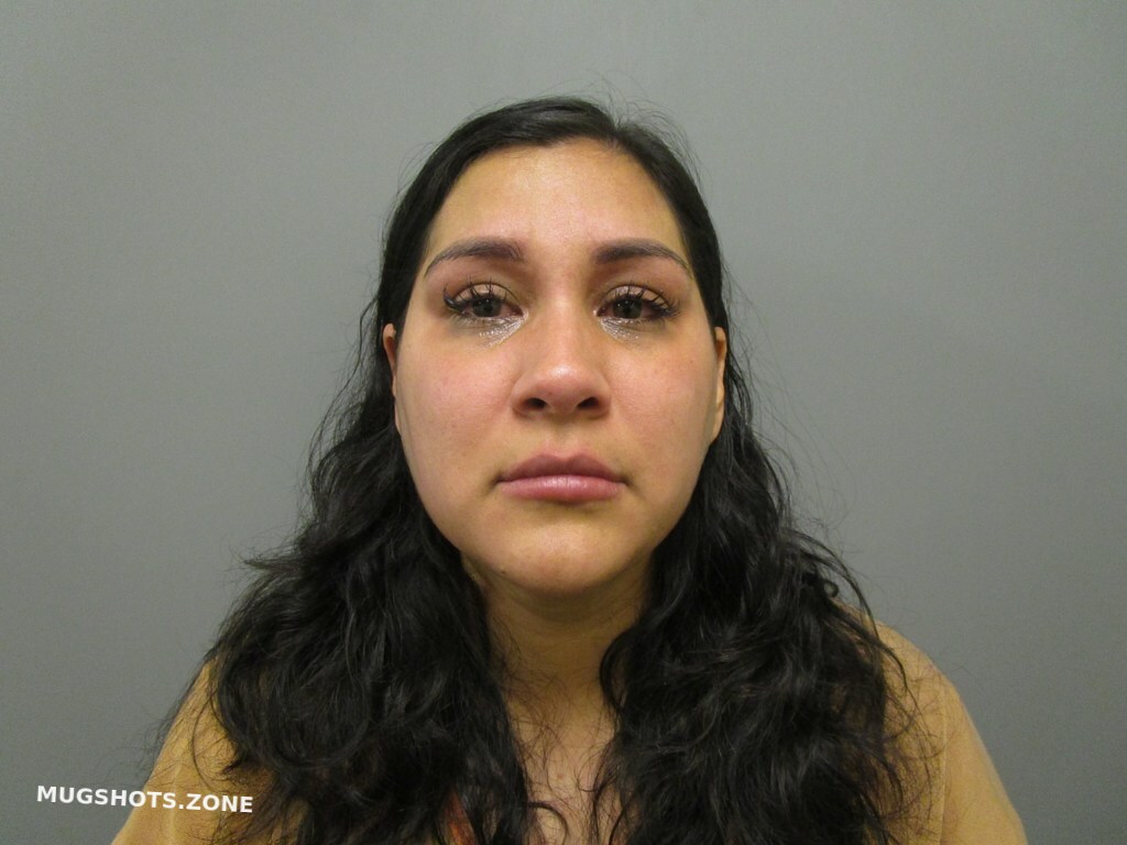 FLORES MARIA FERNANDA 07/24/2021 - Galveston County Mugshots Zone