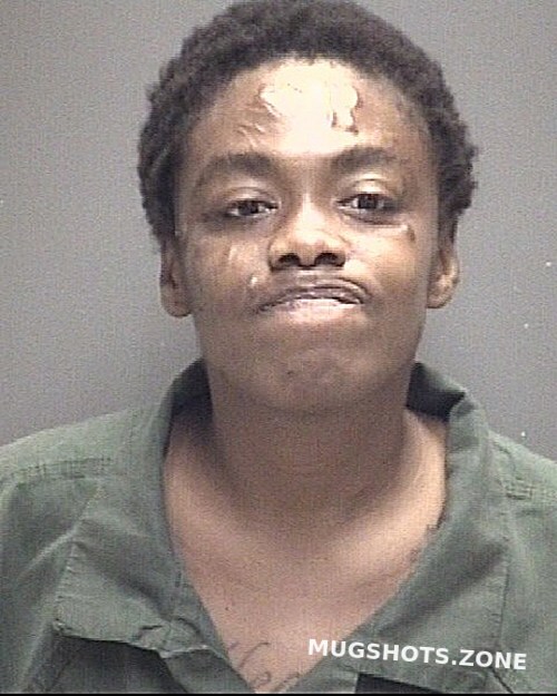 NELSON JACQUELINE ZHANE 01/02/2022 - Galveston County Mugshots Zone