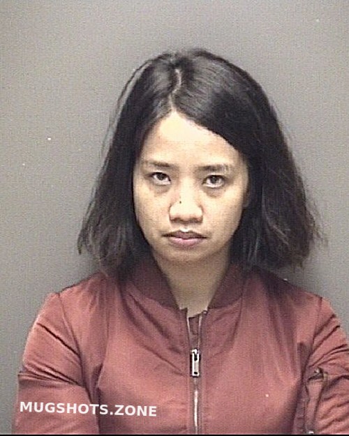 BINUHE SENIA BUMIDANG 01/08/2022 - Galveston County Mugshots Zone