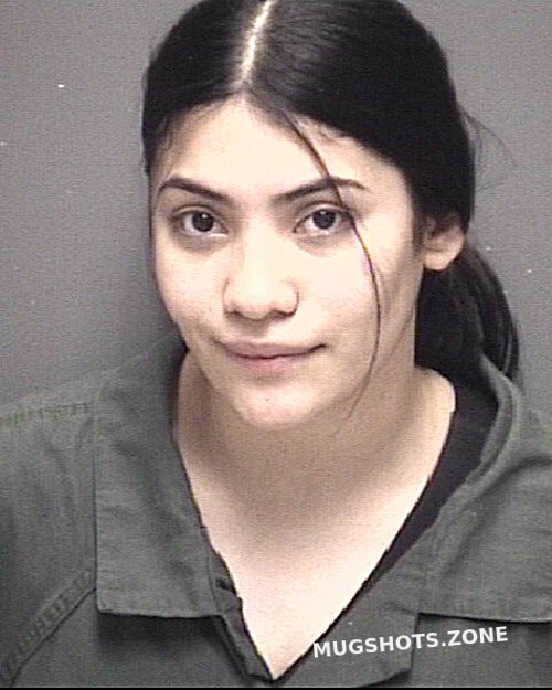 RANGEL MELANIE FERNANDA 05/21/2022 - Galveston County Mugshots Zone