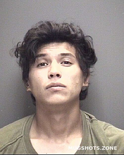 CALVILLO JESSE JAMES 06/08/2022 - Galveston County Mugshots Zone
