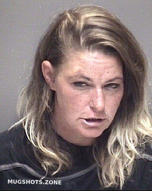 ELKINS ASHLEY NICOLE 12/30/2022 - Galveston County Mugshots Zone
