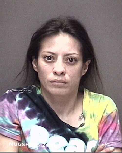 VILLARREAL LYDIA . 01/18/2023 - Galveston County Mugshots Zone