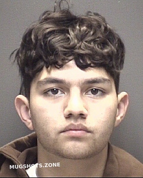 GONZALEZ PAUL . 01/31/2023 - Galveston County Mugshots Zone