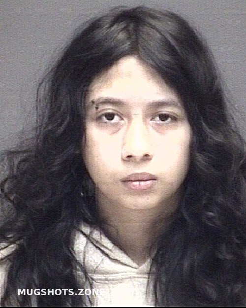 MORALES EDITH . 01/31/2023 - Galveston County Mugshots Zone