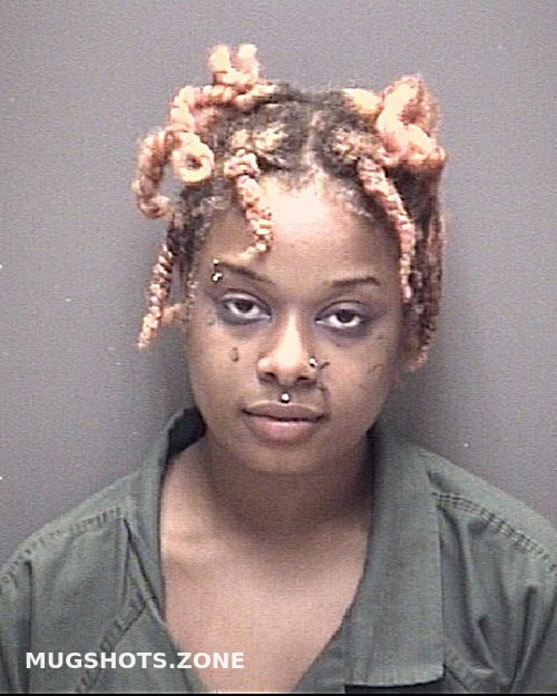 HAMPTON TAMARA LYNETT 05/20/2023 - Galveston County Mugshots Zone